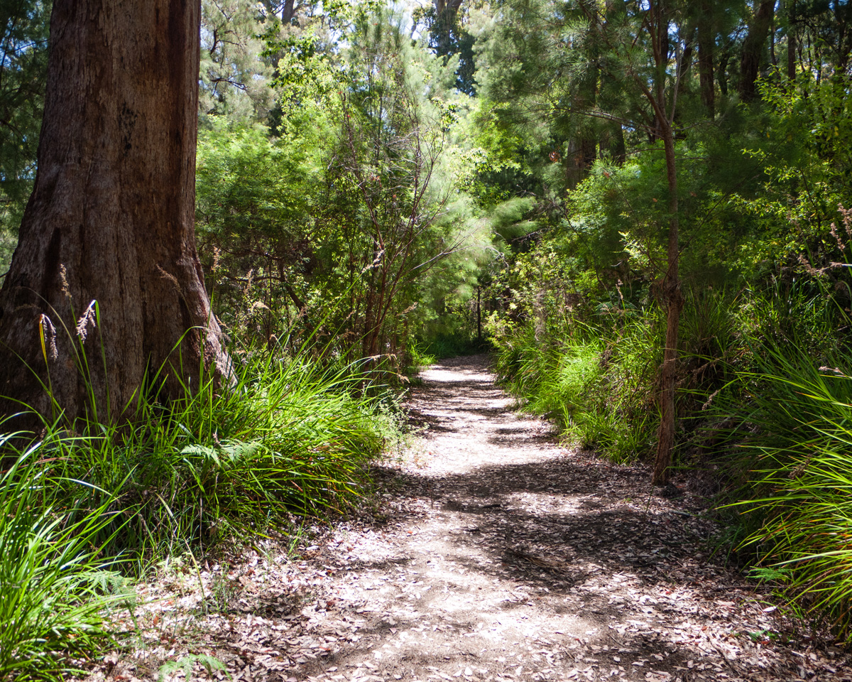 Walpole-Nornalup National Park – Urban Earth Consulting