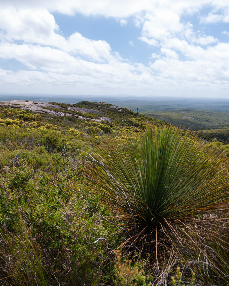 Mount Lindesay National Park – Urban Earth Consulting