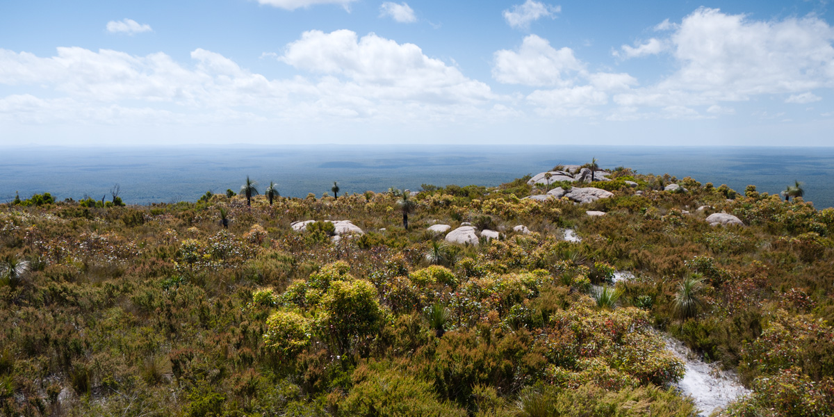 Mount Lindesay National Park – Urban Earth Consulting