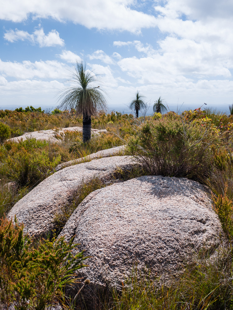 Mount Lindesay National Park – Urban Earth Consulting