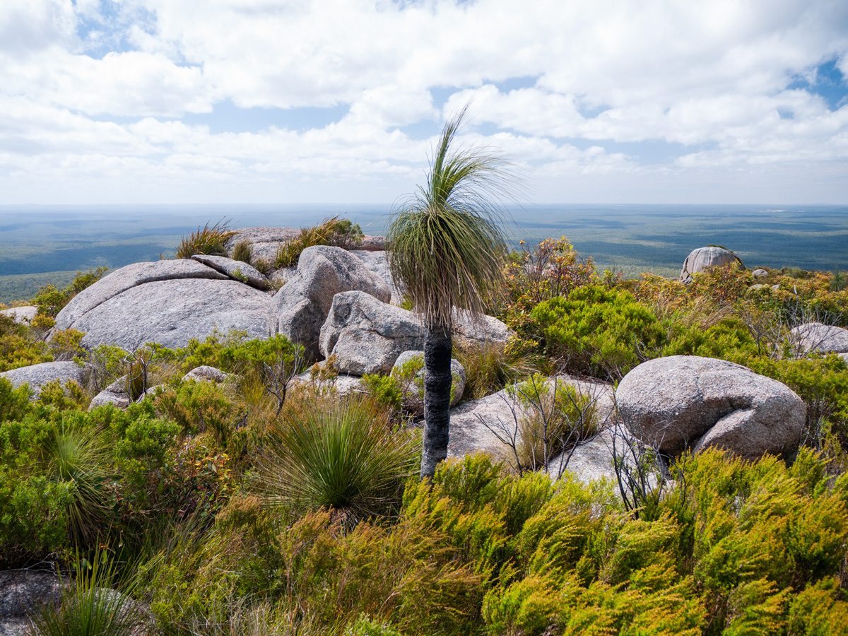 Mount Lindesay National Park – Urban Earth Consulting