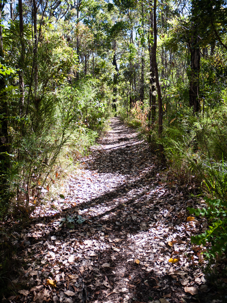 Mount Lindesay National Park – Urban Earth Consulting