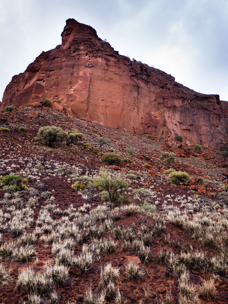 Kennedy Ranges National Park – Urban Earth Consulting