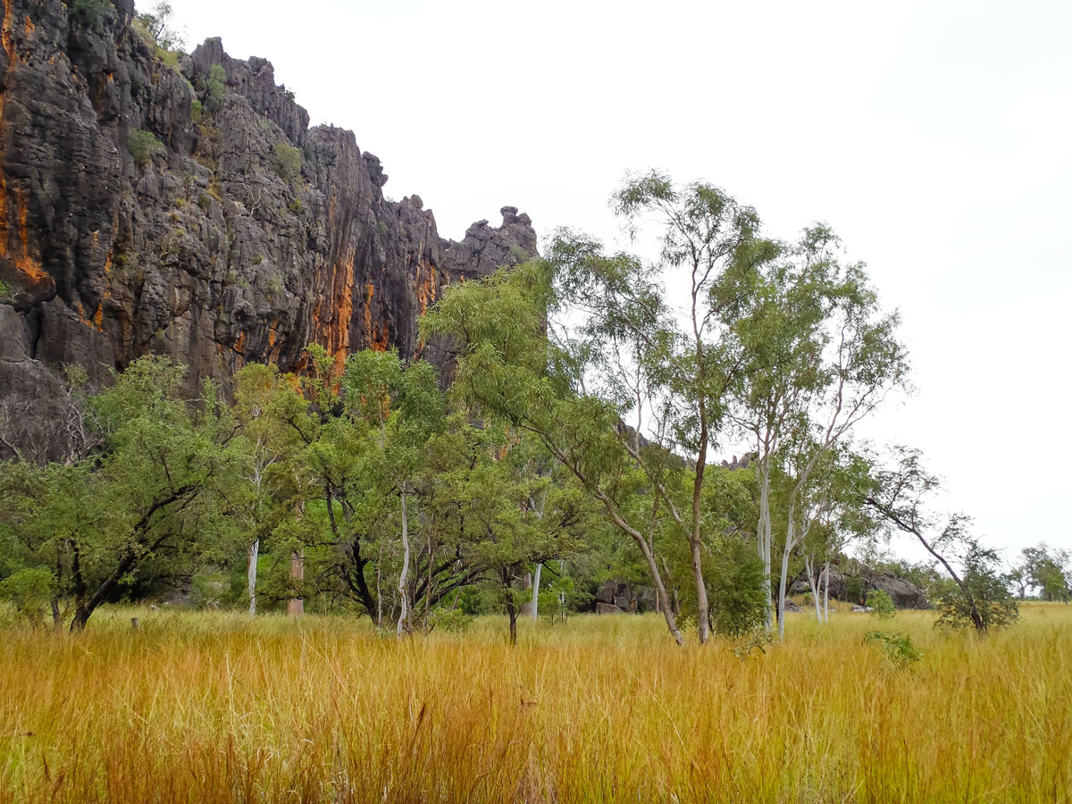 Windjana Gorge National Park – Urban Earth Consulting