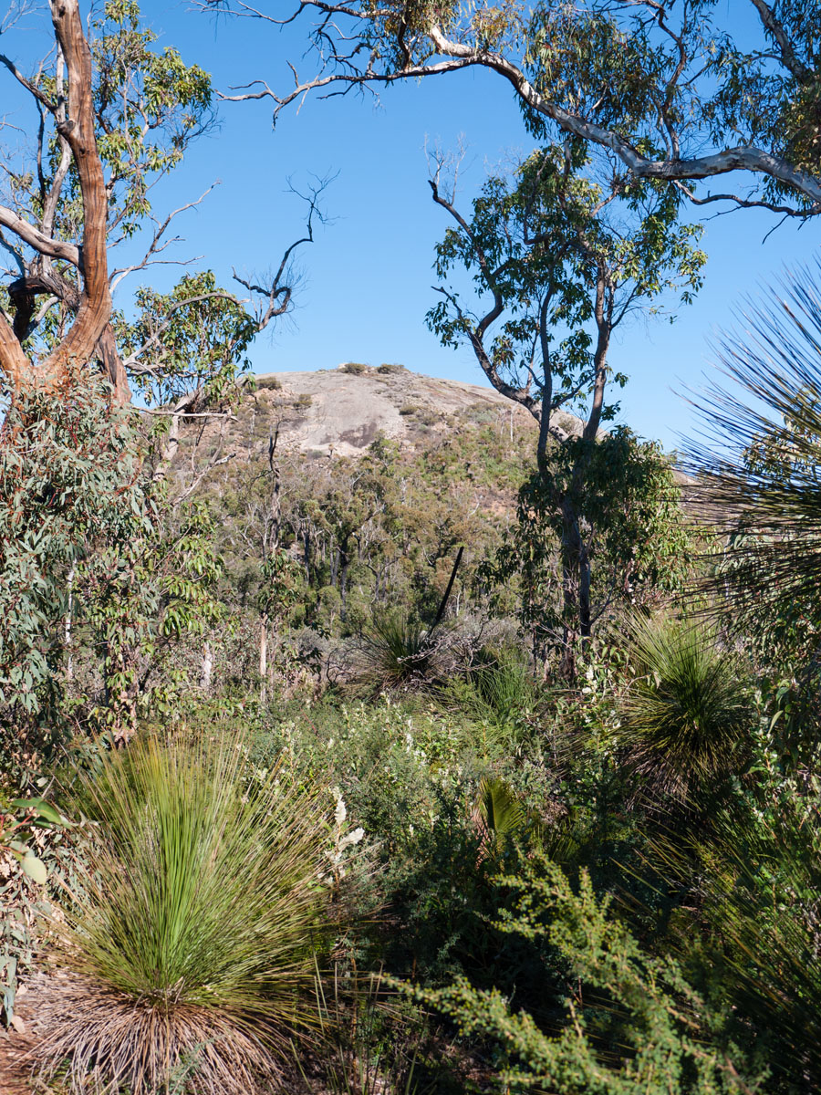 Boonerring Hill – Urban Earth Consulting