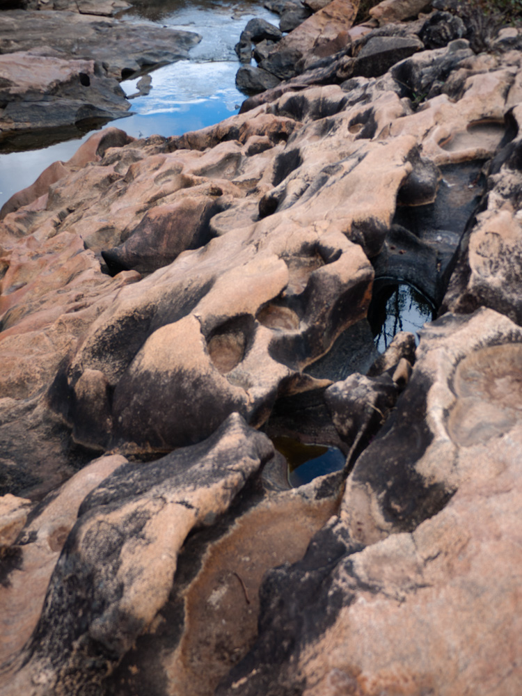 Lane Poole Reserve – Urban Earth Consulting