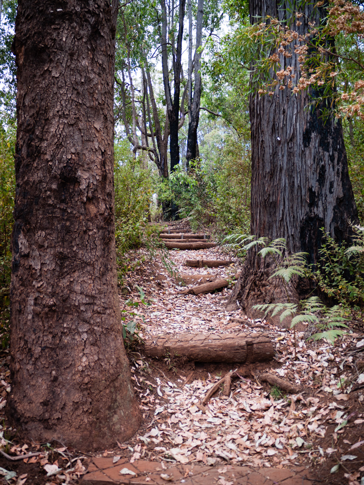 Lane Poole Reserve – Urban Earth Consulting