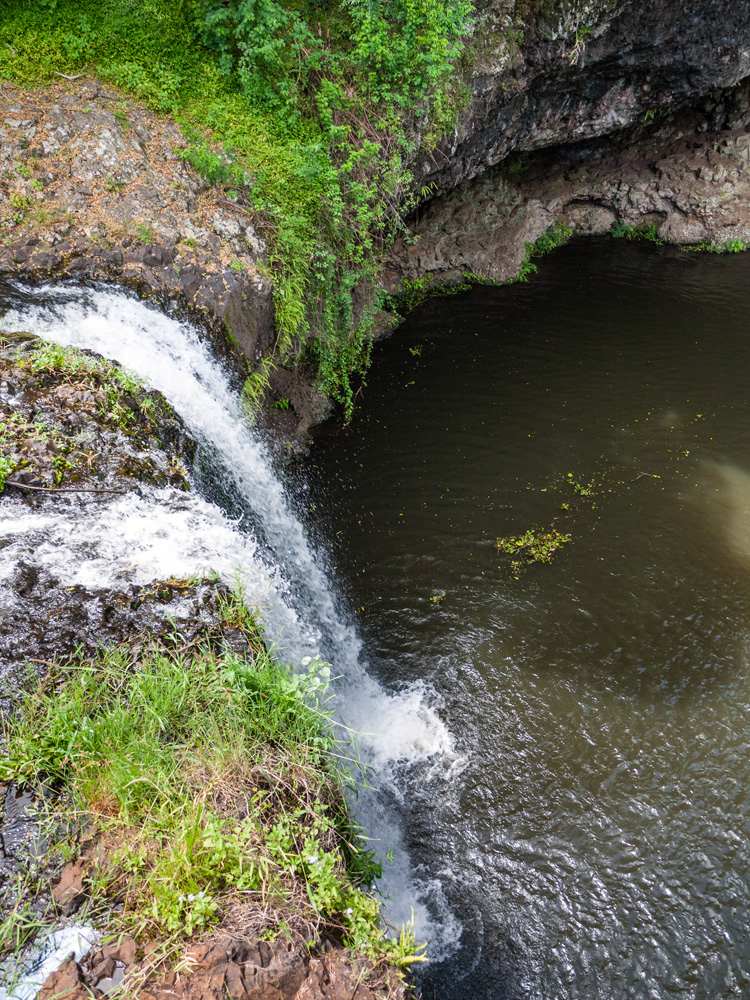 Killen Falls Nature Reserve – Urban Earth Consulting