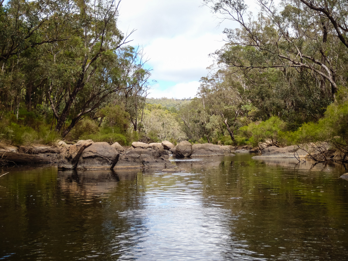 Lane Poole Reserve – Urban Earth Consulting