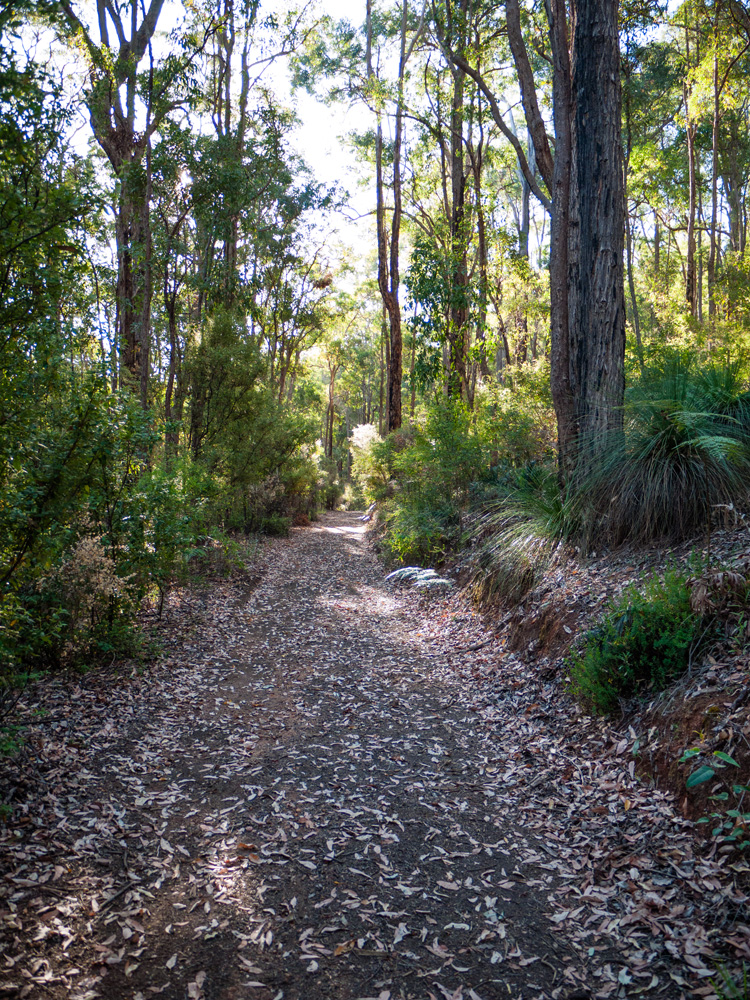 Lane Poole Reserve – Urban Earth Consulting