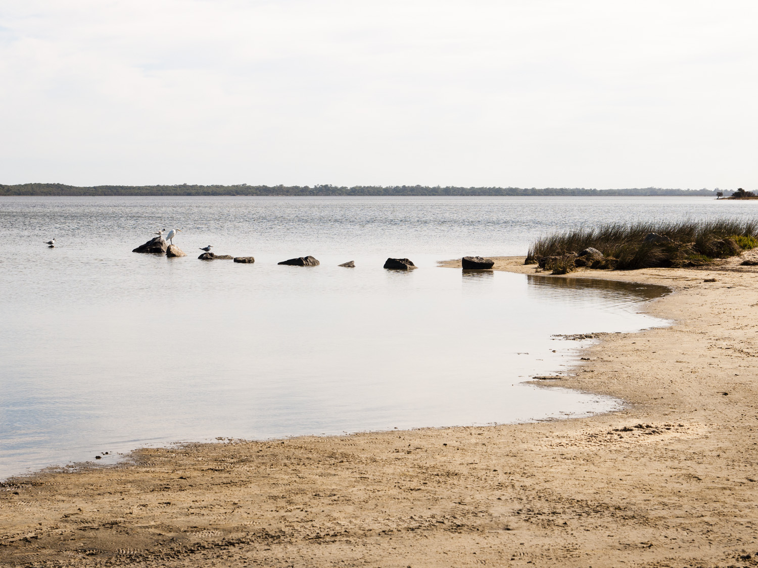 Leschenault Peninsula Conservation Park – Urban Earth Consulting