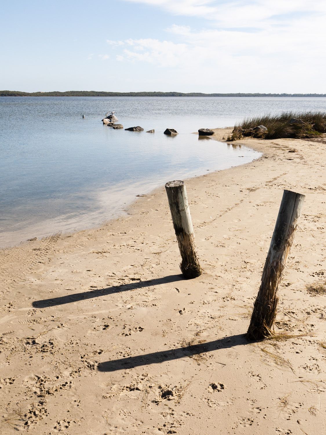 Leschenault Peninsula Conservation Park – Urban Earth Consulting