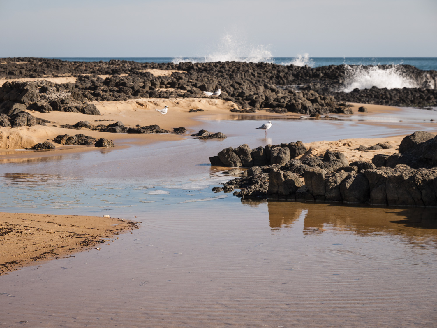 Leschenault Peninsula Conservation Park – Urban Earth Consulting